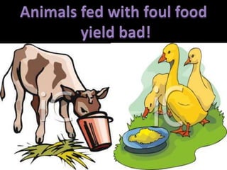 Community Health: A Wealth in Danger | PPTX