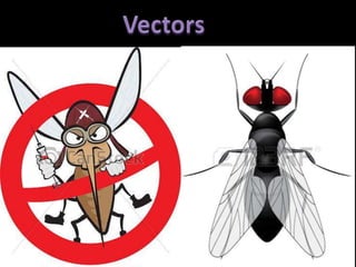 Community Health: A Wealth in Danger | PPTX