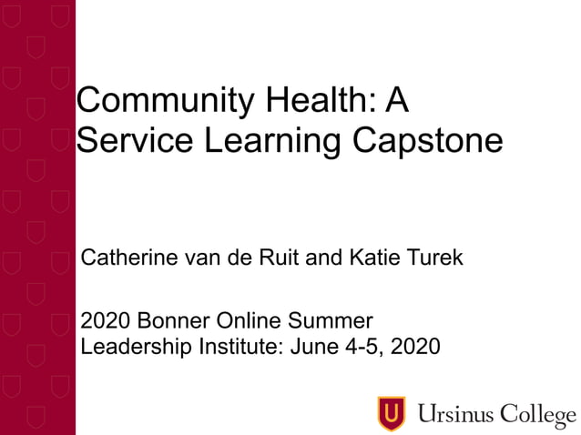 Community Health: A Service Learning Capstone | PDF | Debated Sensitive ...