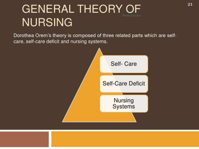 Community health nursing approaches | PPTX