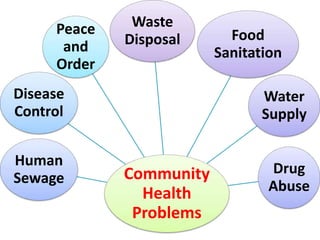 Community Health Problems | PPTX