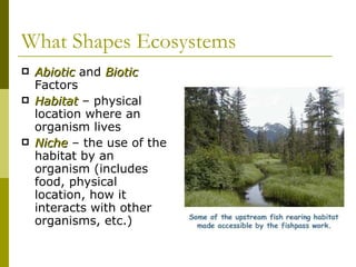 Community interactions | PPT