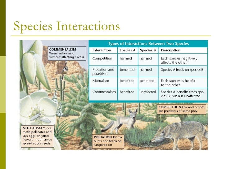 Kinds Of Organism Interactions Community Interactions