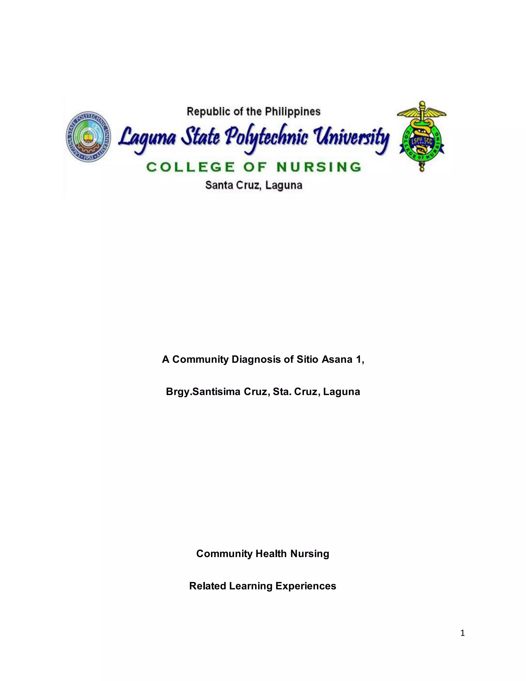 CHN Case Study | DOCX