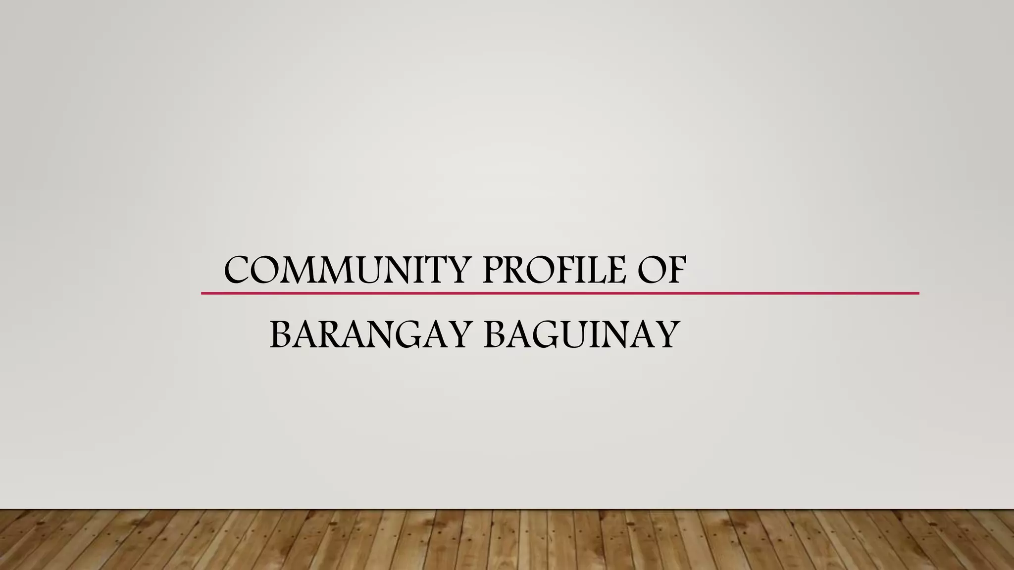 Community Profile of Barangay Baguinay | PPTX