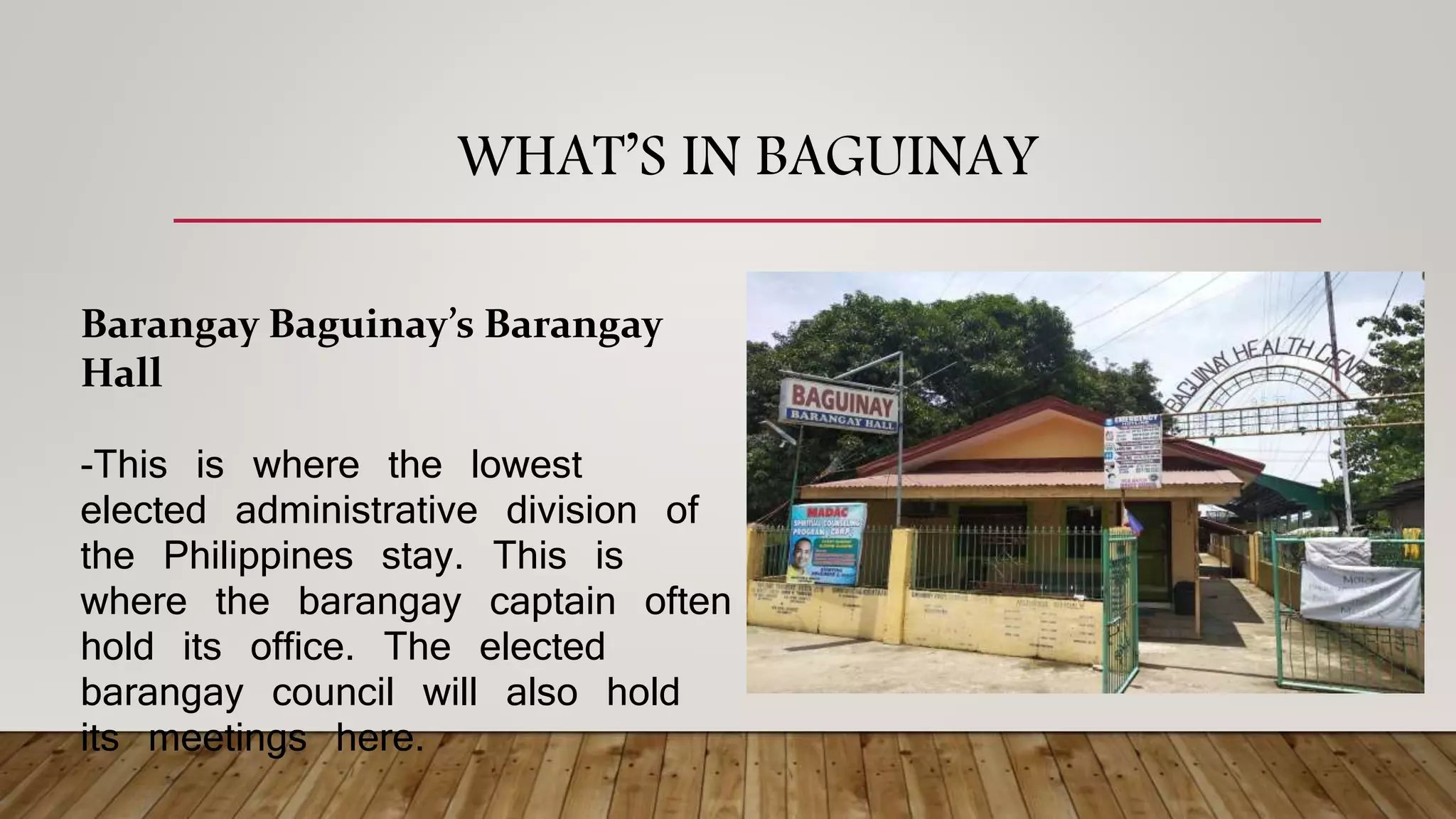 Community Profile of Barangay Baguinay | PPTX