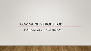 Community Profile of Barangay Baguinay | PPTX