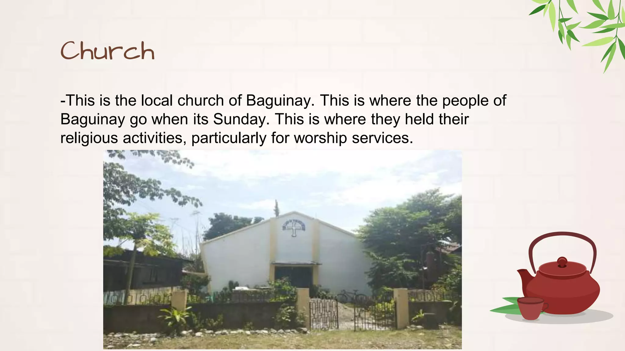 Community profile of_barangay_baguinay | PPTX | Medical Health
