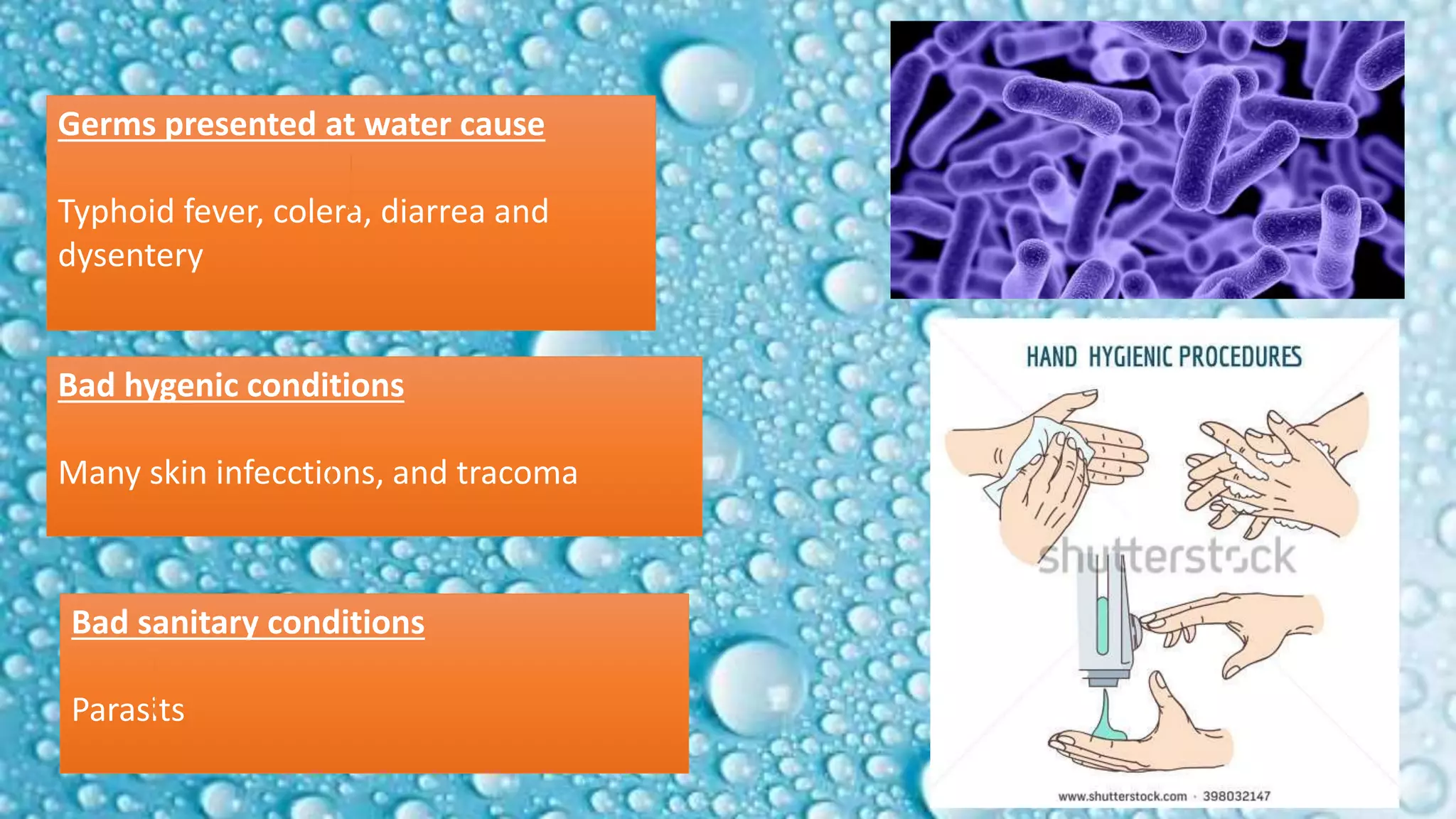 The importance of water | PPTX