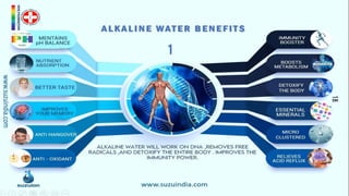 Alkaline Water Community Model | PDF