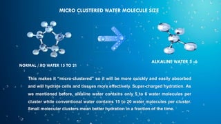 Alkaline Water Community Model | PDF | Skin Care | Beauty