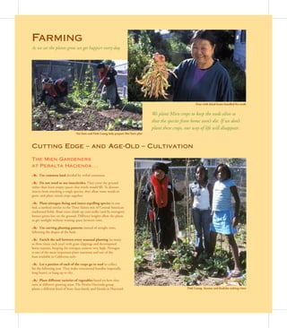 Community Recipe Book | PDF