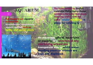 Community resources in teaching | PDF