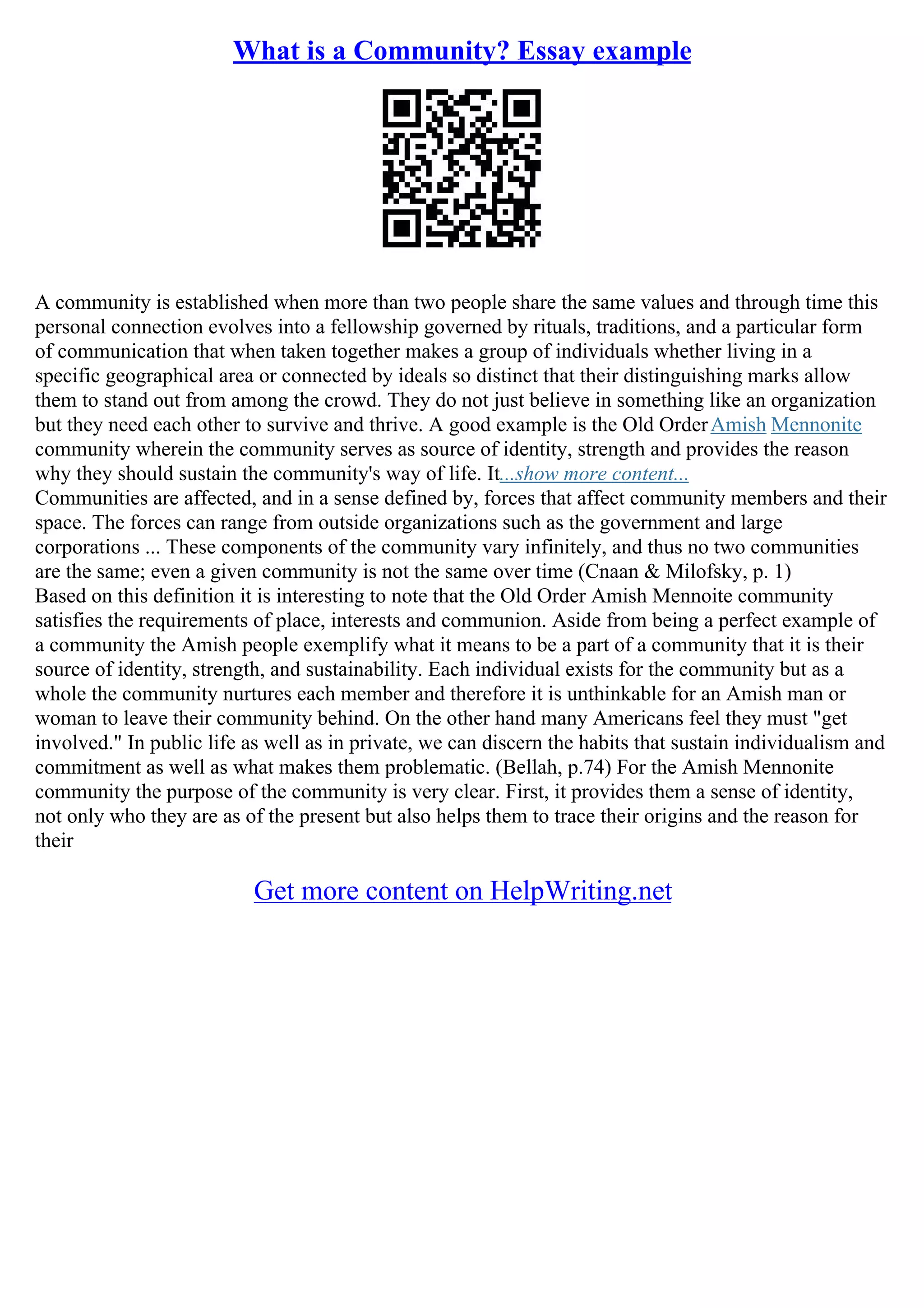 Community Service Essay Example | PDF