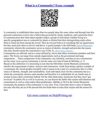 Community Service Essay Example | PDF