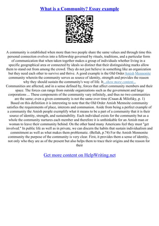 Community Service Essay Examples | PDF