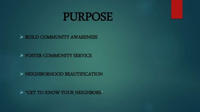 Community service ppt project (2) | PPTX