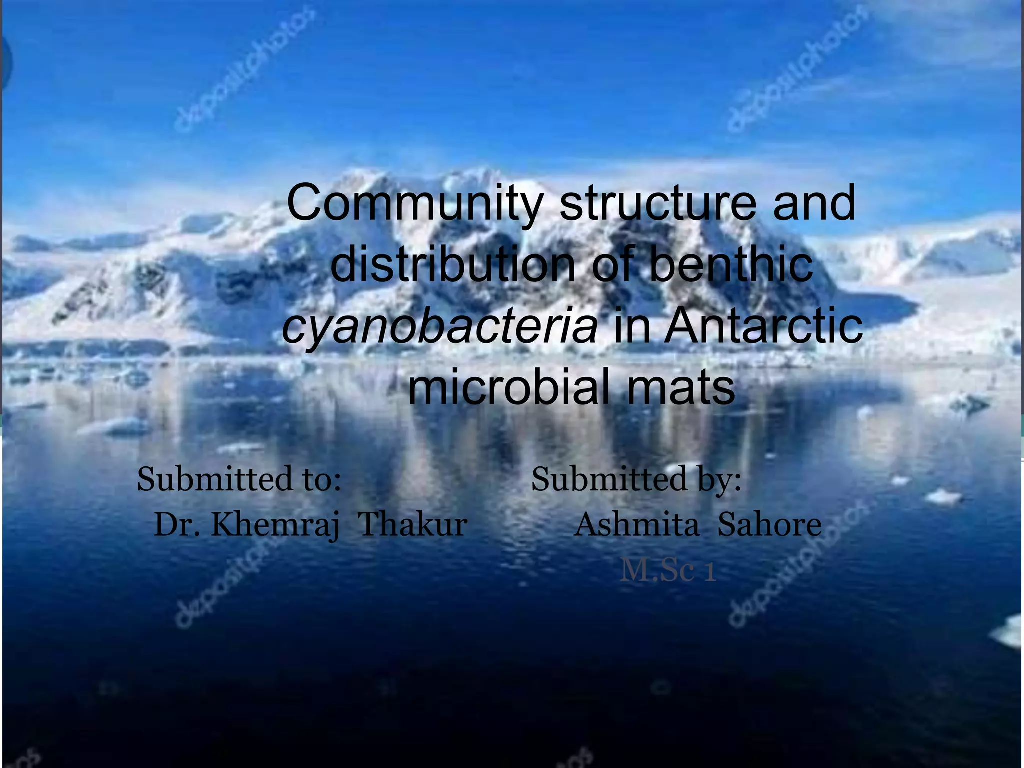 Community structure and distribution of benthic cyanobacteria in 2 | PPT