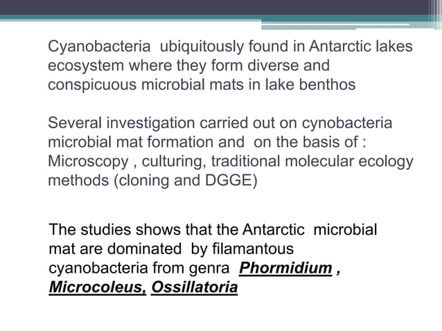 Community structure and distribution of benthic cyanobacteria in 2 | PPT