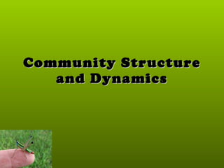 Community structure and dynamics | PPT