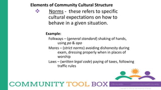 Community StruCtures.pptx