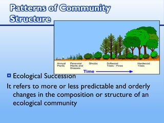 Community Structure Zoljargal | PPT