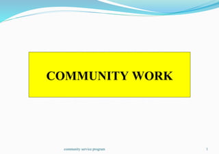 community work submission details SY BEd 2024.ppt