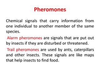 Communucation among insects | PPT