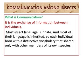 Communucation among insects | PPT