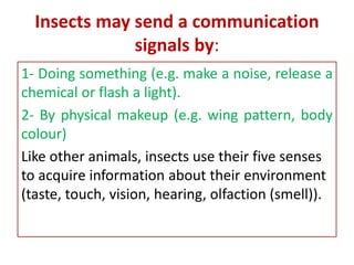 Communucation among insects | PPT