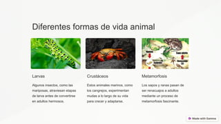 Como-nacen-los-animales.pptx