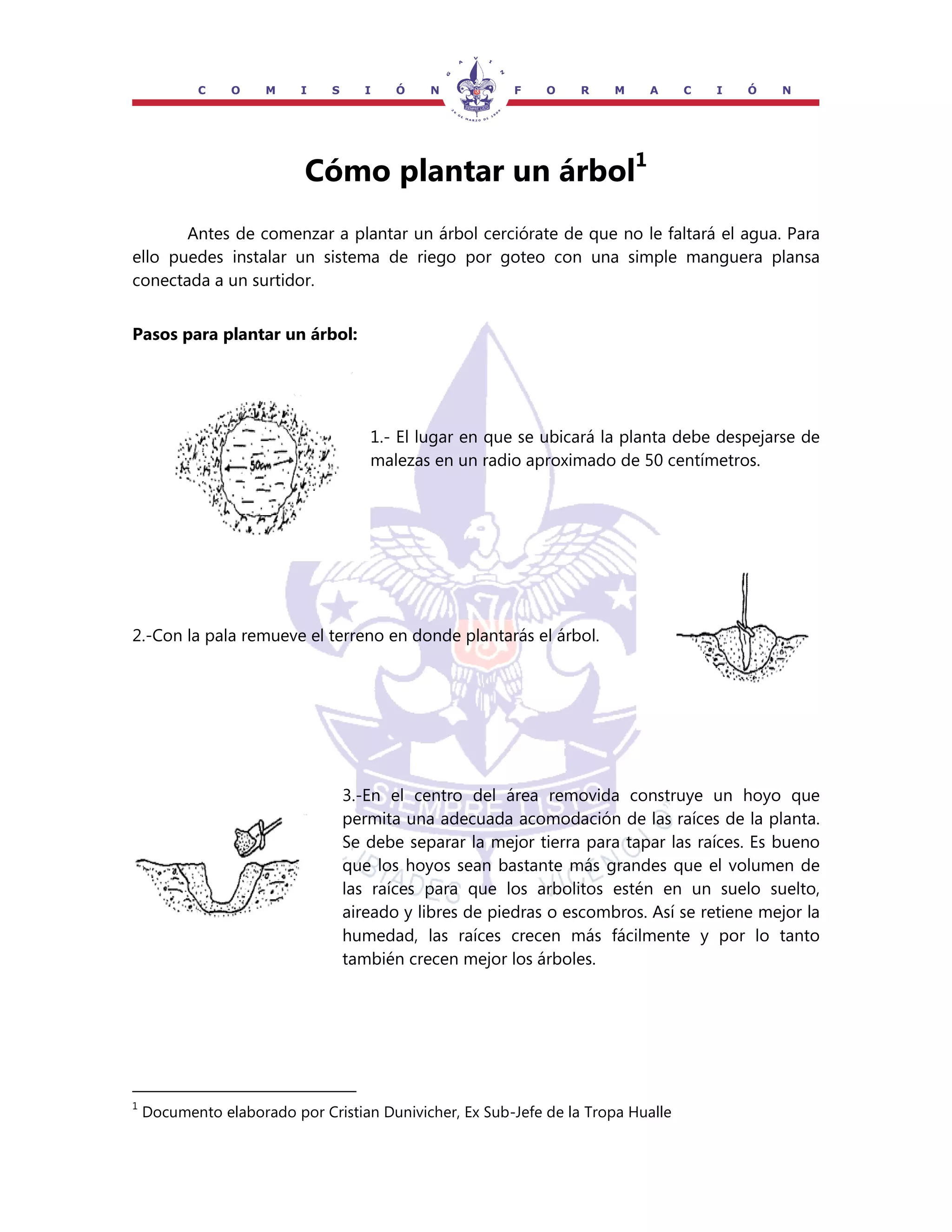 Como plantar-un-arbol | PDF