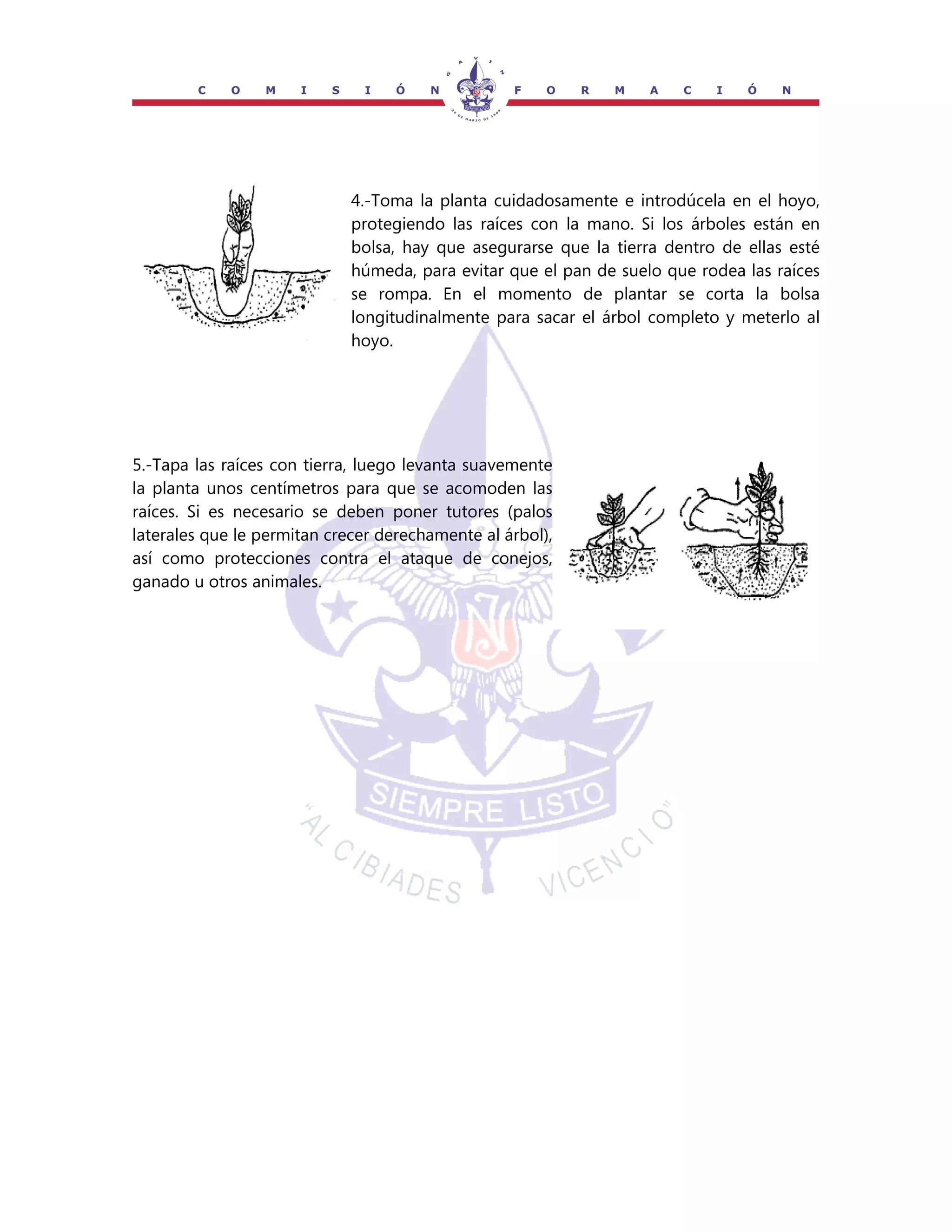 Como plantar-un-arbol | PDF