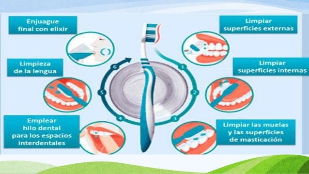 Como Cepillarse Correctamente Los Dientes