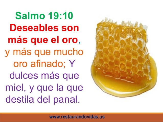 Como conocer a Elohim salmo 19