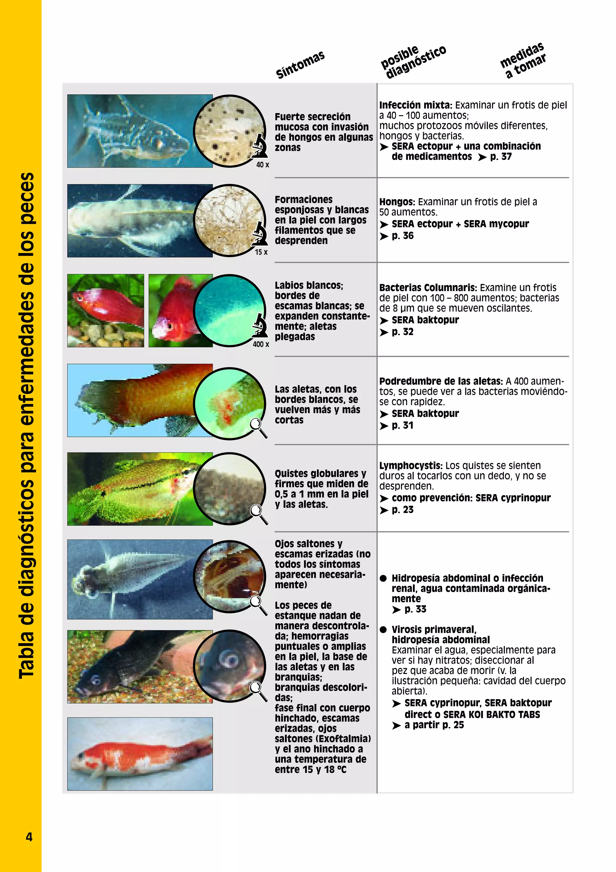 Como cuidar de manera sana a sus peces ornamentales | PDF