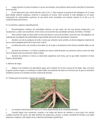 Como cultivar yucas en su huerto casero | PDF
