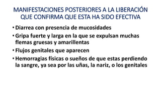 Como Derribar la Fortaleza de Inmundicia | PPTX