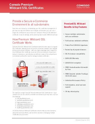 Comodo Premium Wildcard SSL Explained