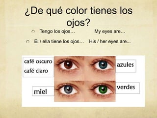 Como eres | PPTX | Hair Care | Beauty