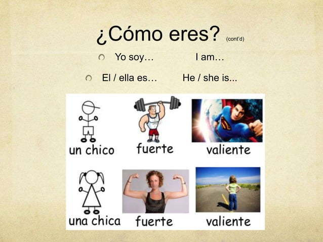 Como eres | PPTX | Hair Care | Beauty