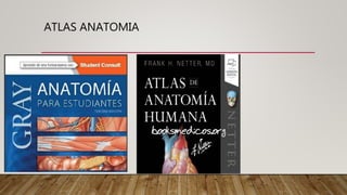 COMO ESTUDIAR_ANATOMIA.pptx