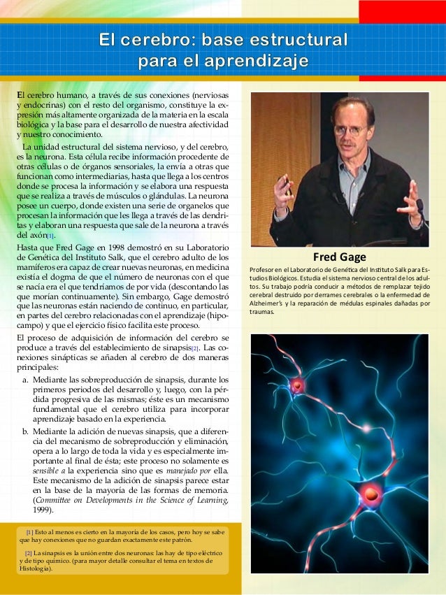 Como estudiar anatomia de Emilio Martínez Marrero