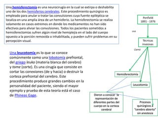 Como evoluciono el conocicmiento del cerebro m1 | PPTX