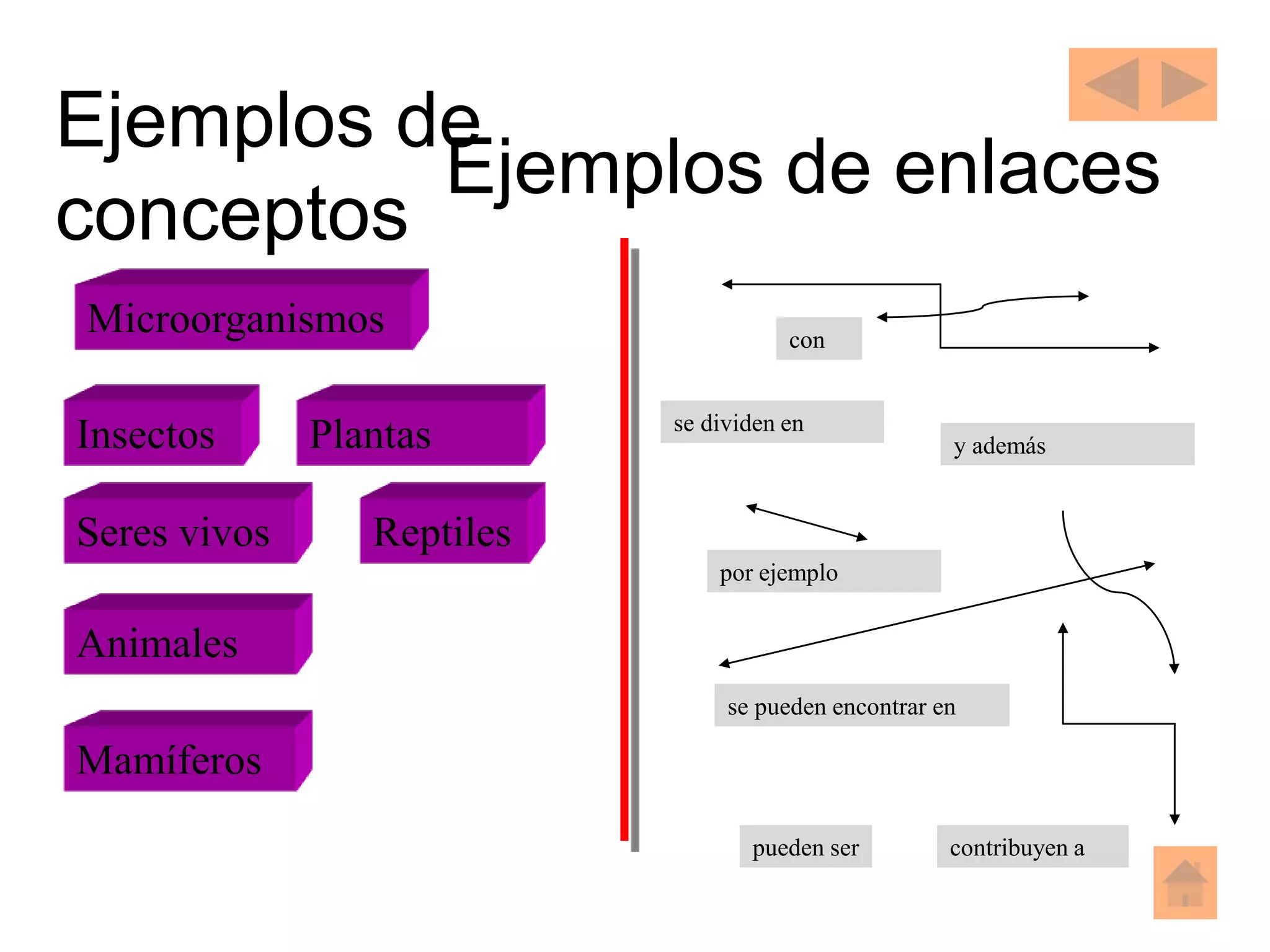 Como Hacer Un Mapa Conceptual Ppt