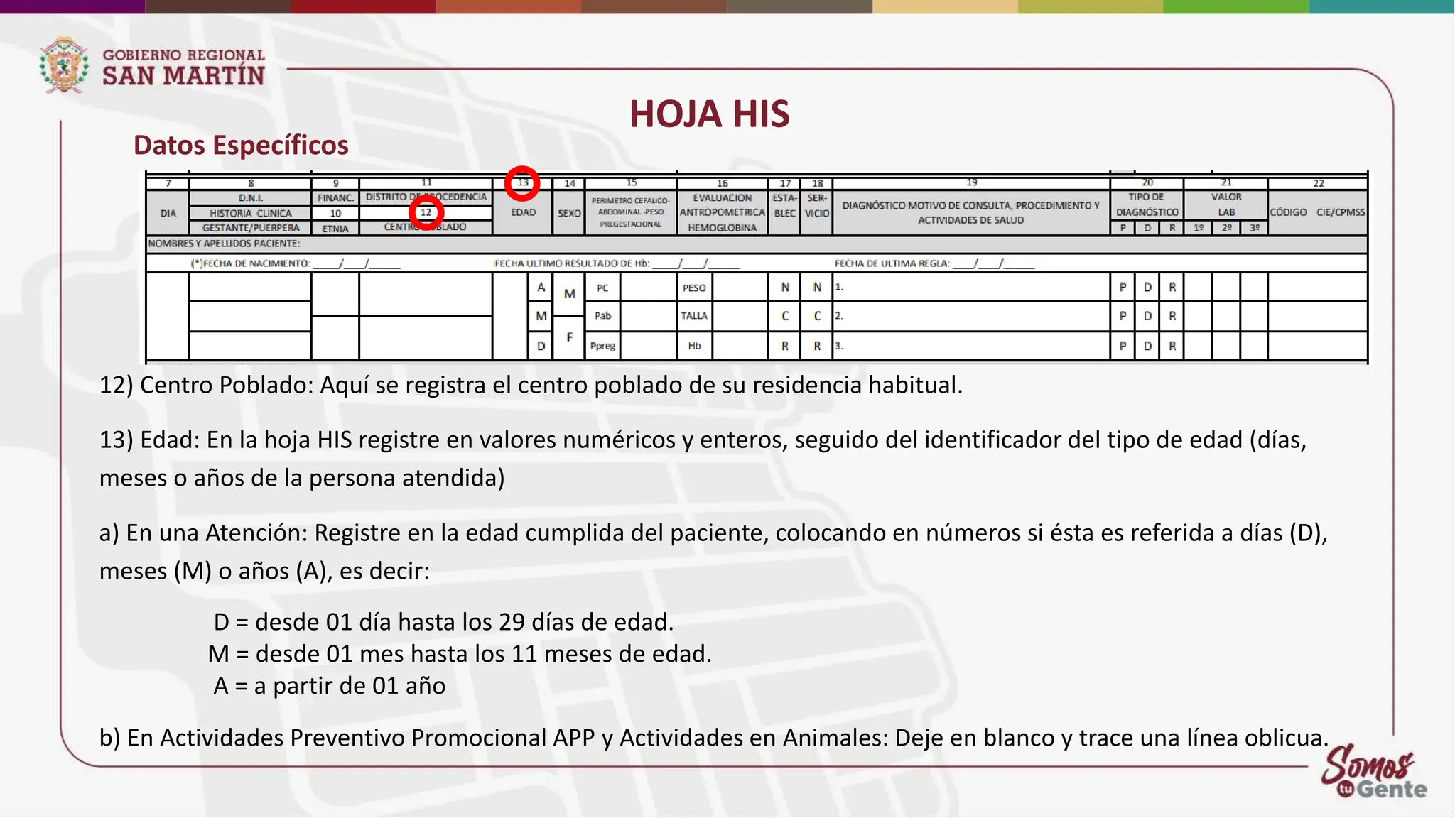COMO HISEAR NIVEL NOVATO PARA EL MINSA PERU | PPTX | Health Insurance ...