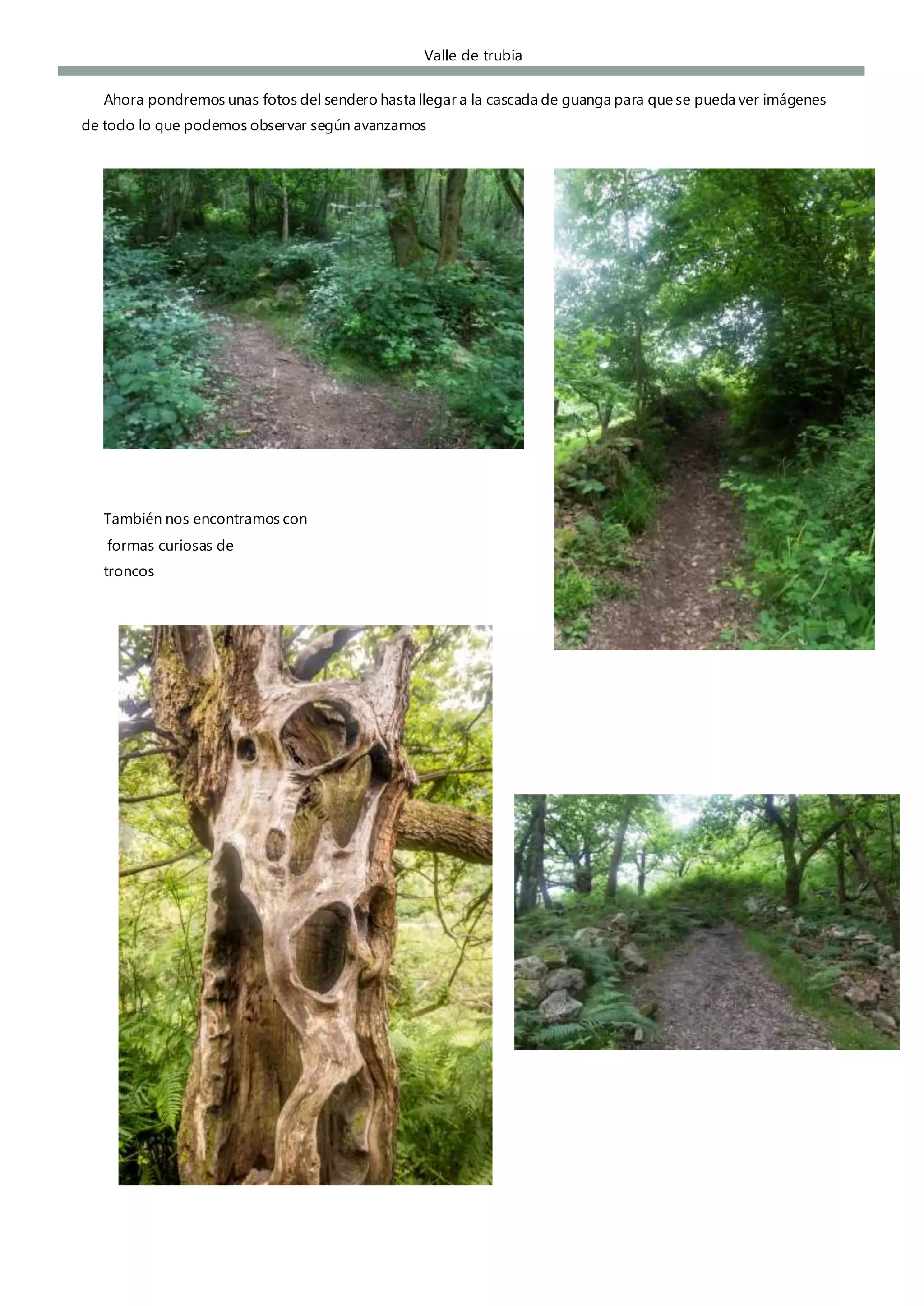 Como llegar a la cascada de guanga | DOCX