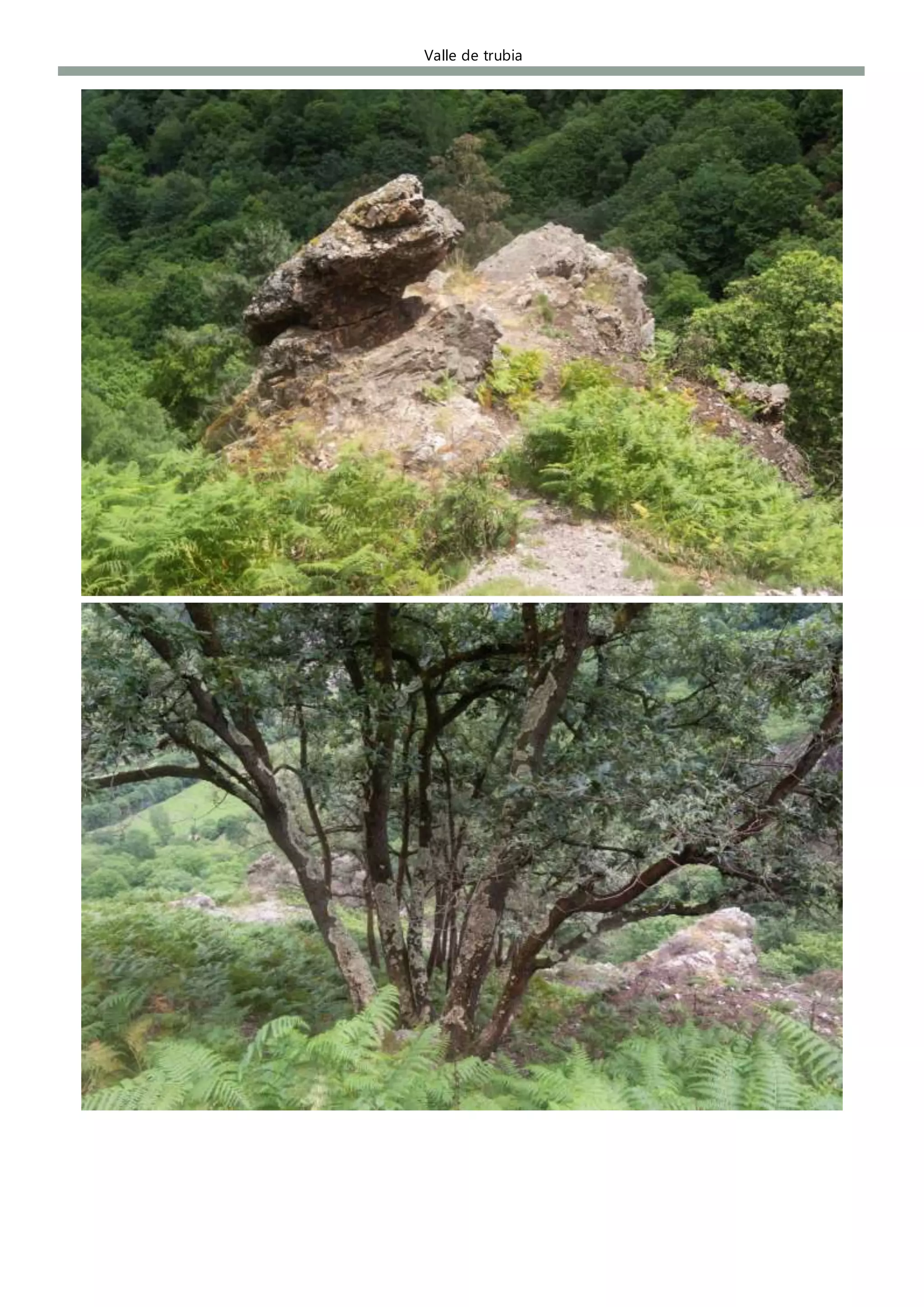 Como llegar a la cascada de guanga | DOCX