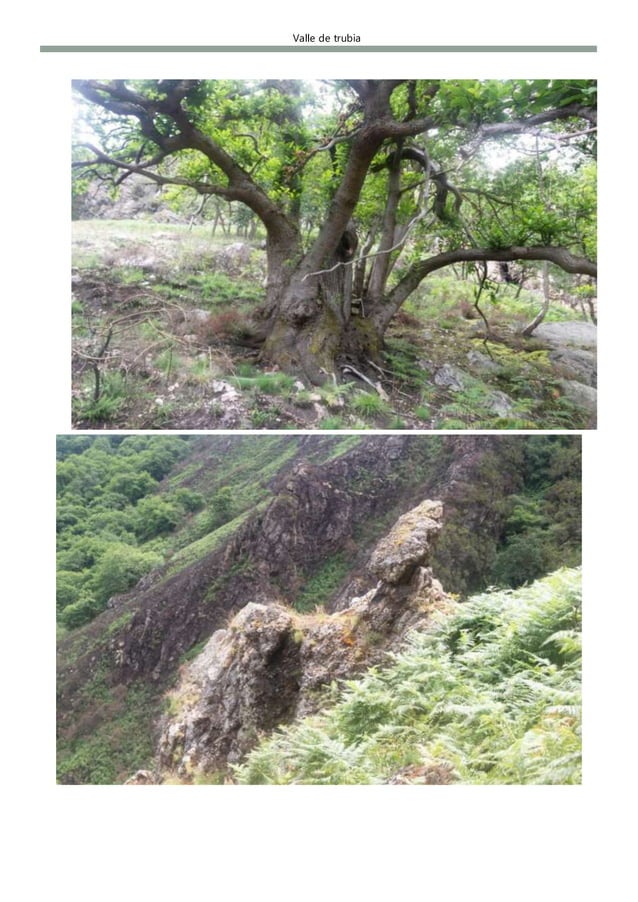 Como llegar a la cascada de guanga | DOCX