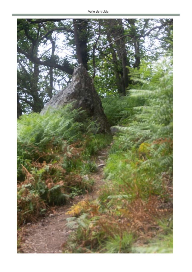 Como llegar a la cascada de guanga | DOCX